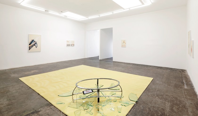 Juliana Paciulli – Panhandler Magazine